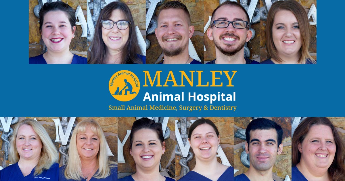 Meet our Staff | Manley Animal Hospital