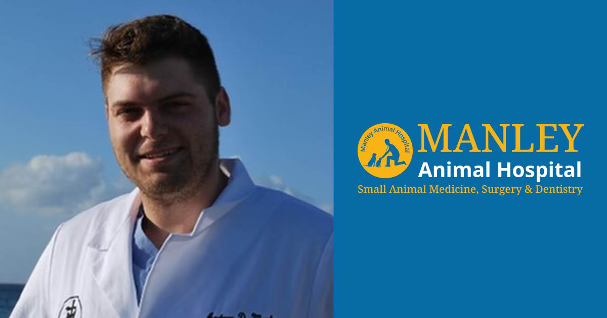 Dr. Andrew Manly, DVM | Manley Animal Hospital